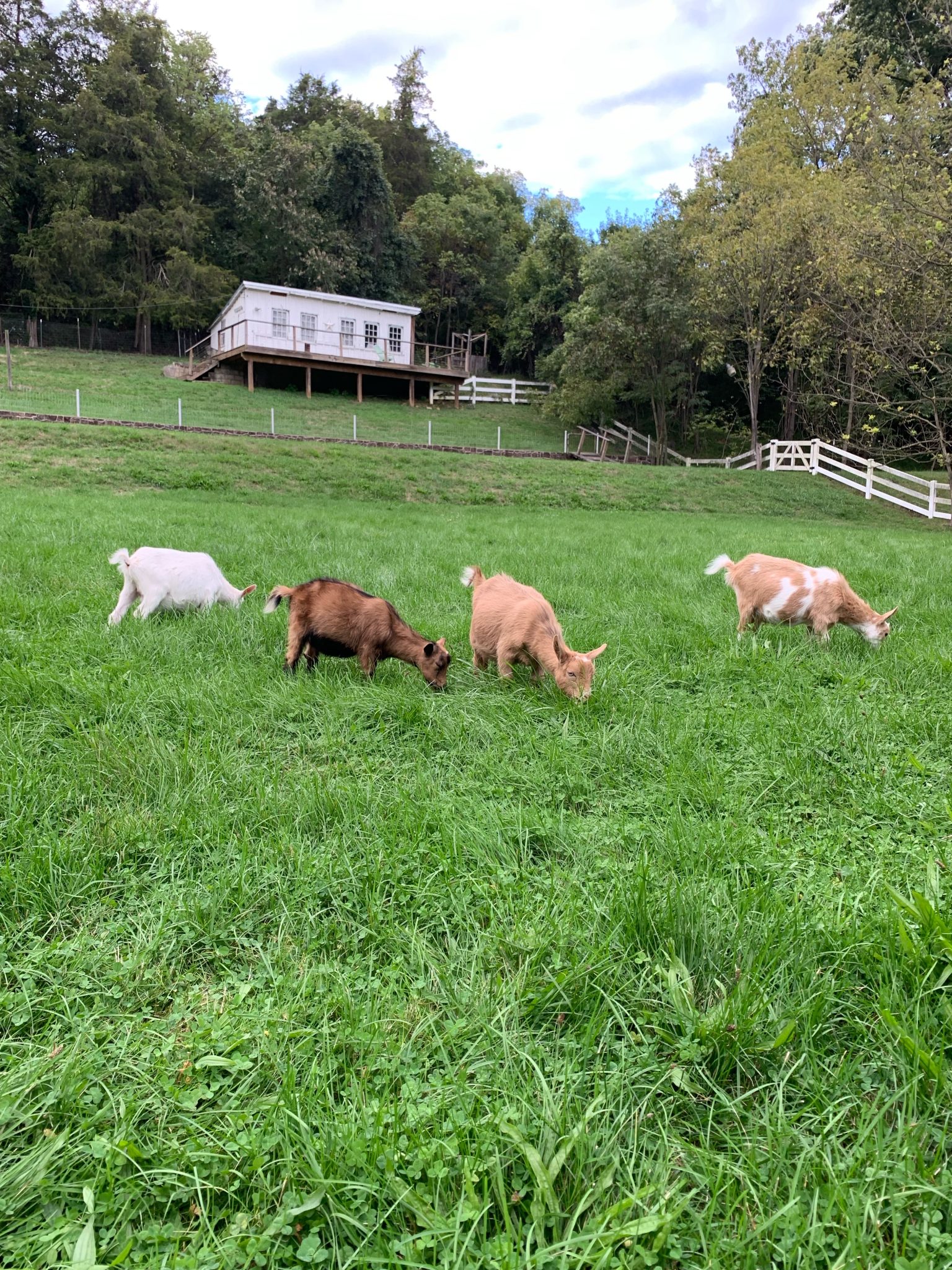 Aberdeen Mills - Aberdeen Mills, built in 1770, offers short term ...